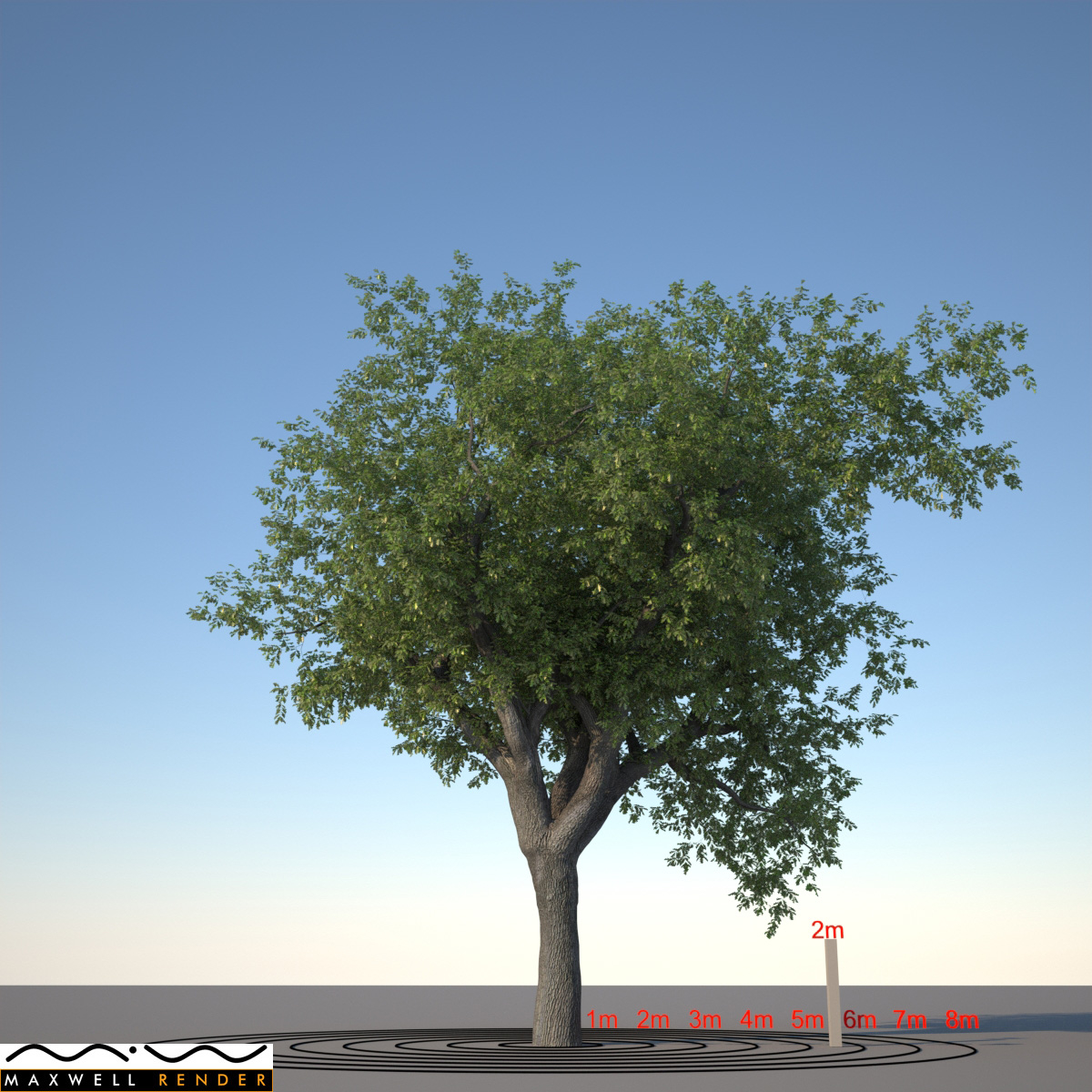 3ds max oak tree
