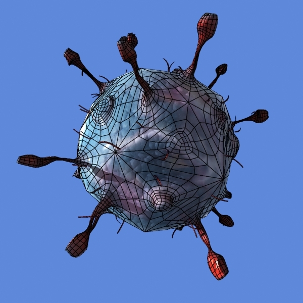 3d virus model