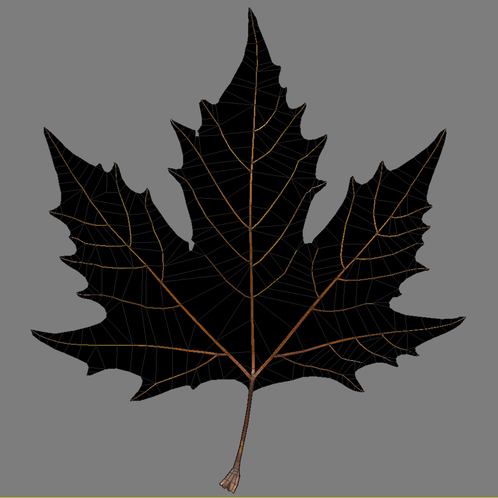 3d realistic autumn maple leaf