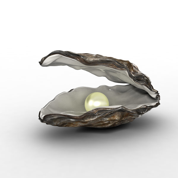 3d oyster shell