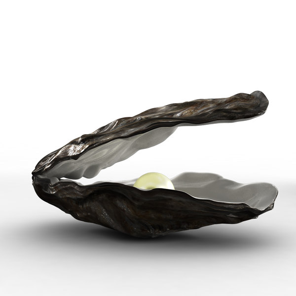 3d oyster shell