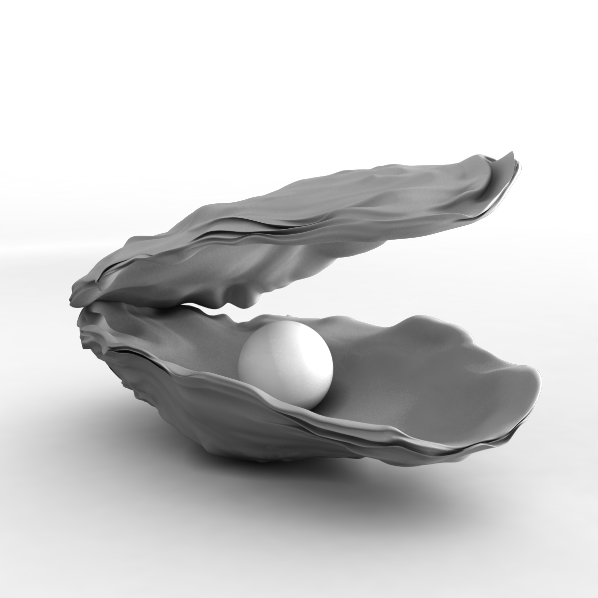 3d oyster shell