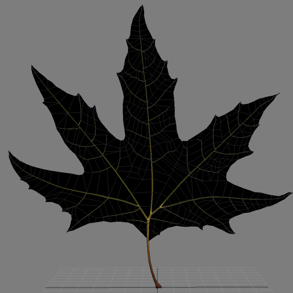 realistic autumn maple leaf 3d model