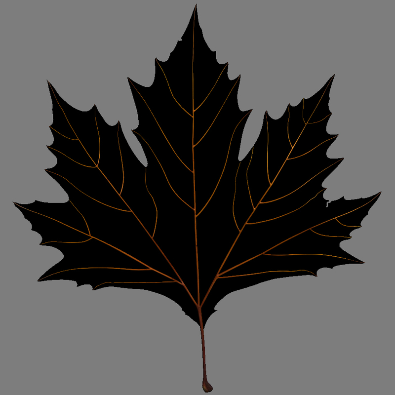 3d max realistic autumn maple leaf