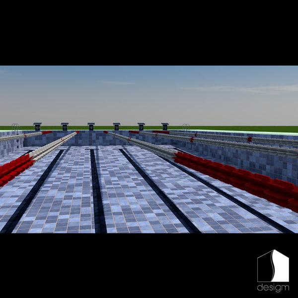 3d real swimming pool 25m model