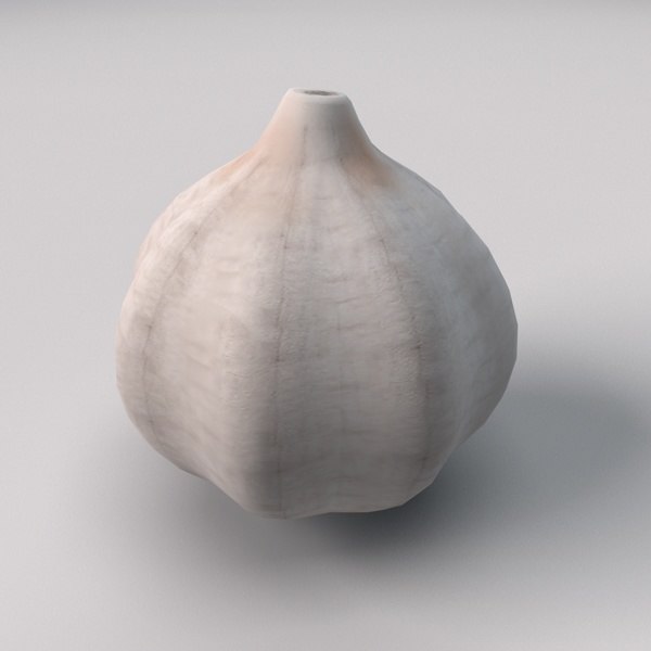 free garlic modeled 3d model