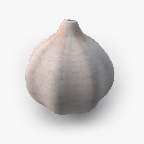 free garlic modeled 3d model