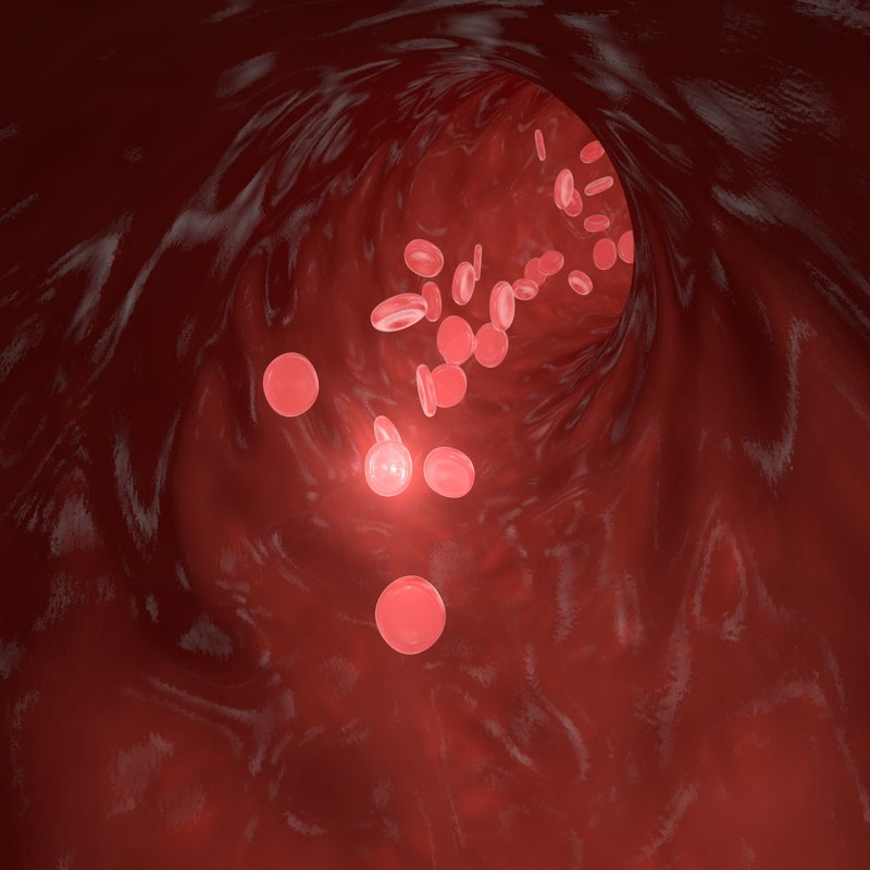 turbulent blood flow c4d