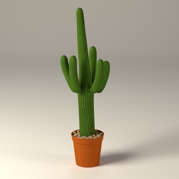 3d model cactus pot