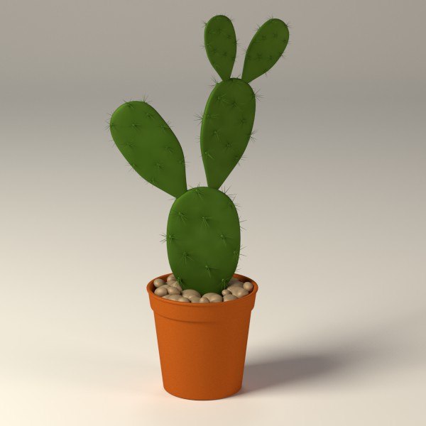 3d model cactus pot