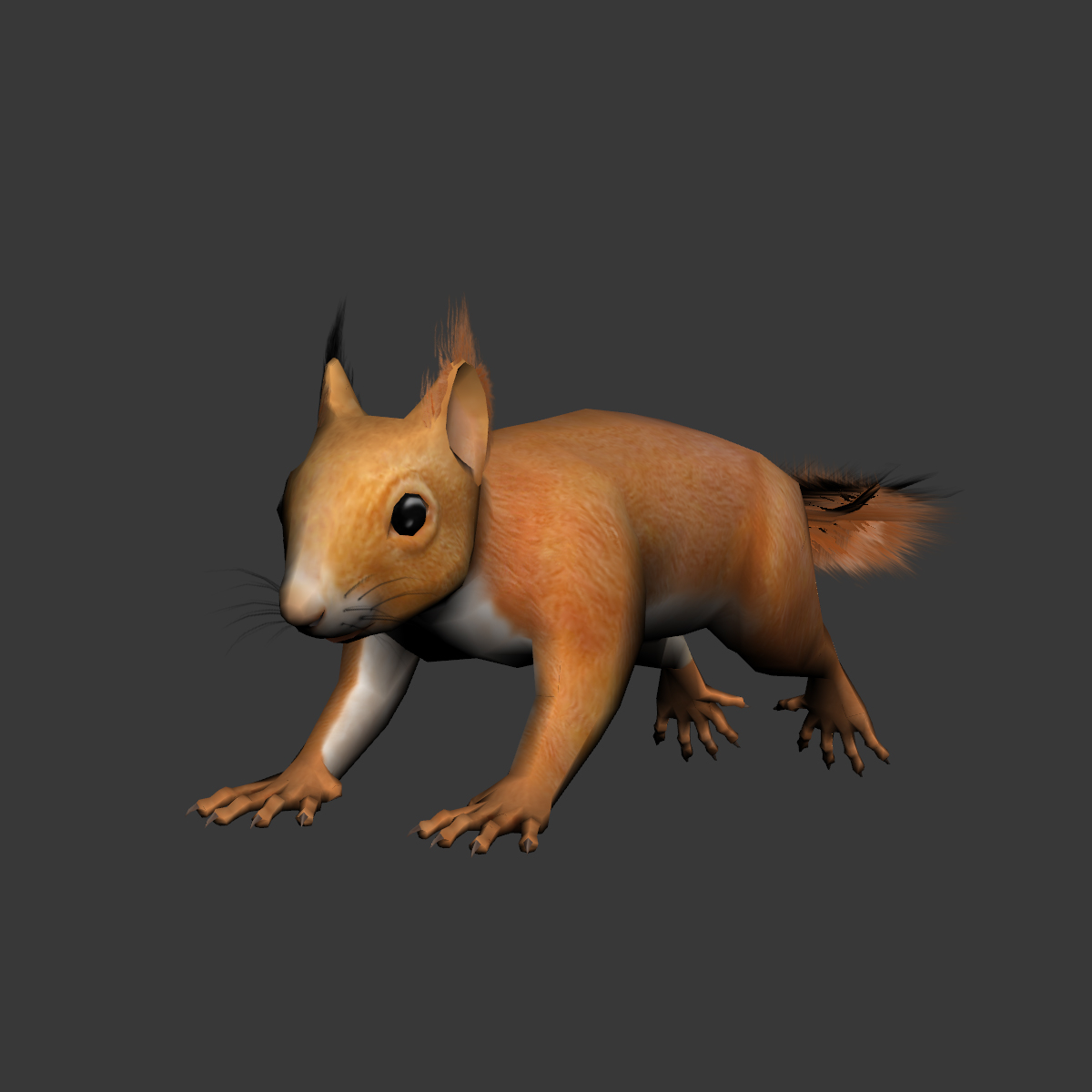 squirrel rodent 3d 3ds