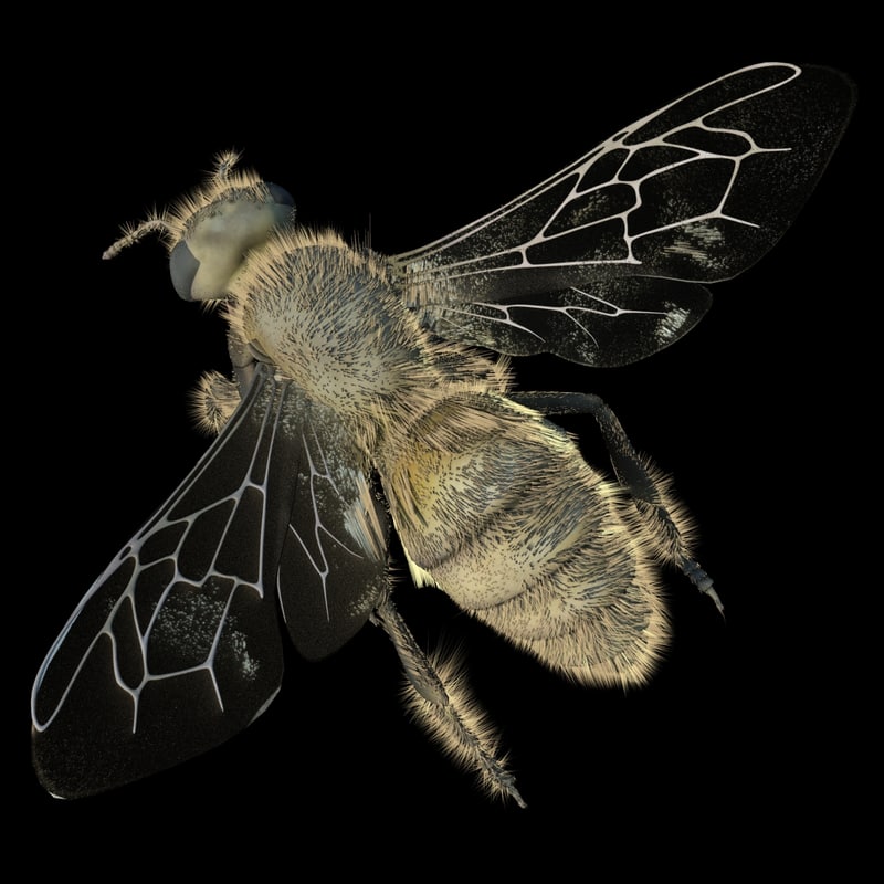 3d model of worker bees