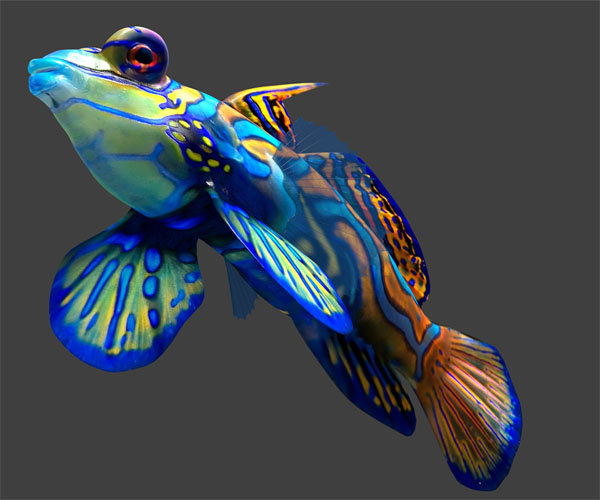 mandarin fish 3ds