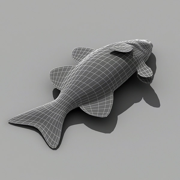 3d cutted fish model