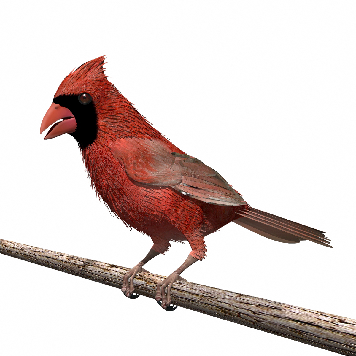 cardinal bird flight lightwave male 3d model