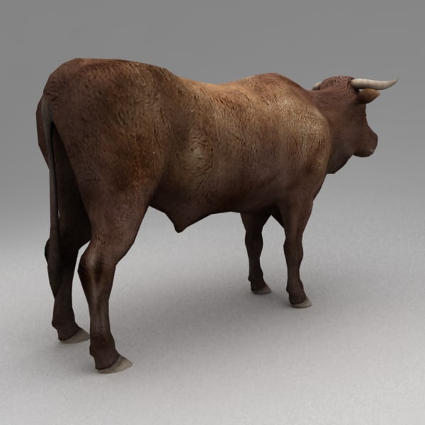 3d rigged bull animation walk