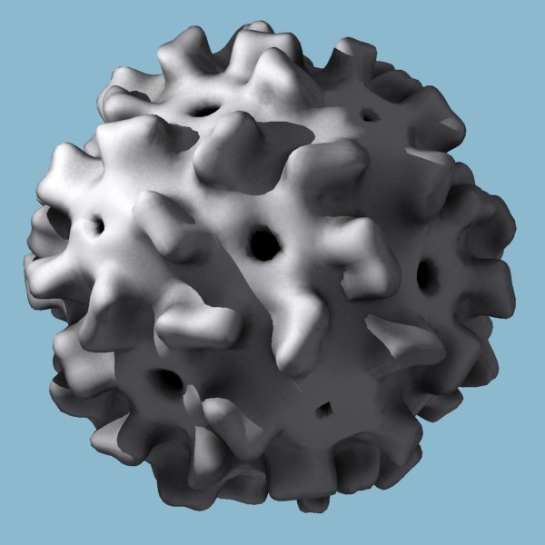 carnation mottle virus 3d max