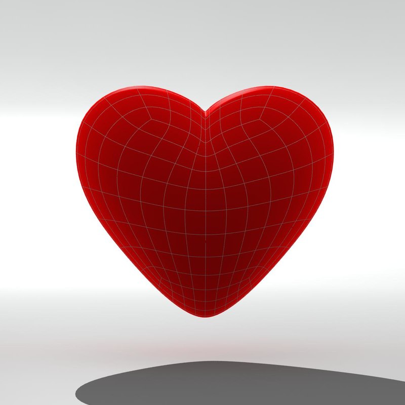 3d model heart