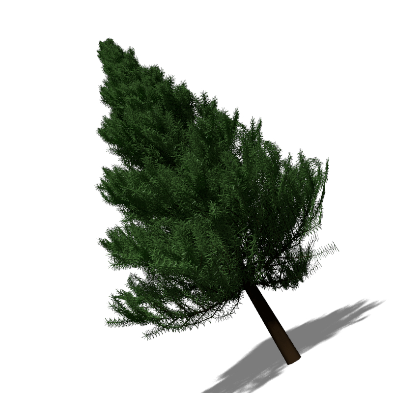 3d pine tree model