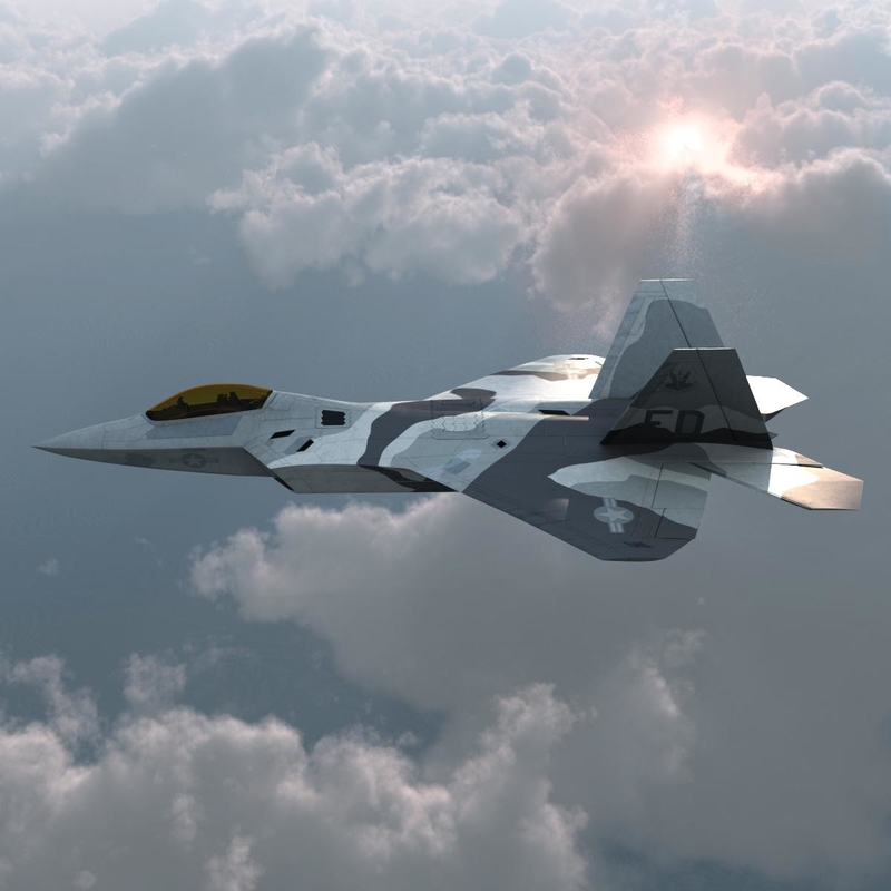 realistic f-22 raptor rigged 3d model