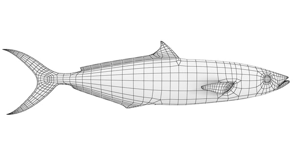 3d rainbow runner yellowtail salmon model