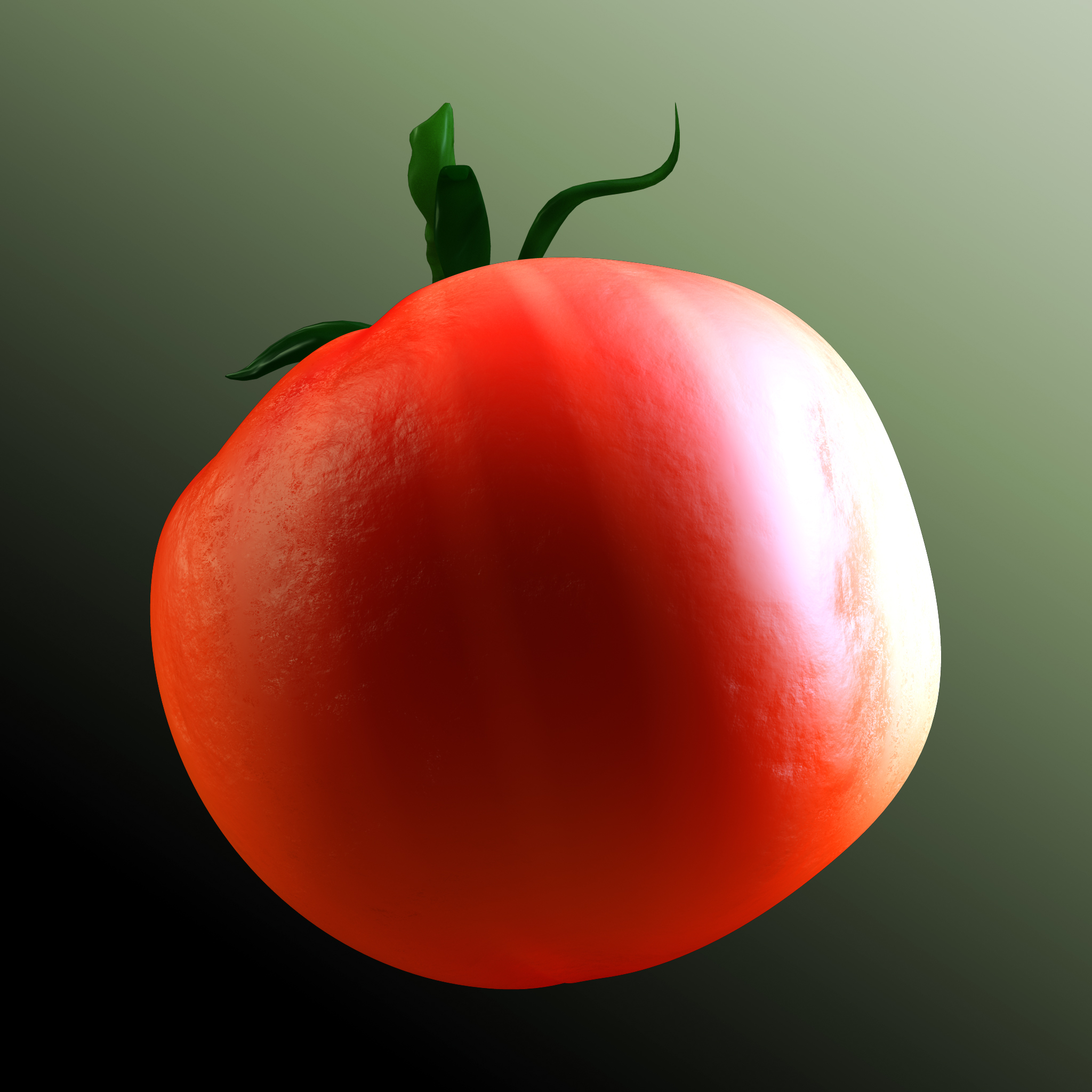 tomato 3d model