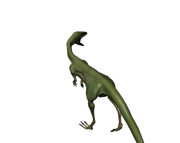 compsognathus compy dinosaur 3d model