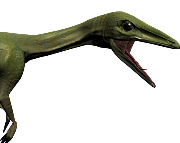 compsognathus compy dinosaur 3d model