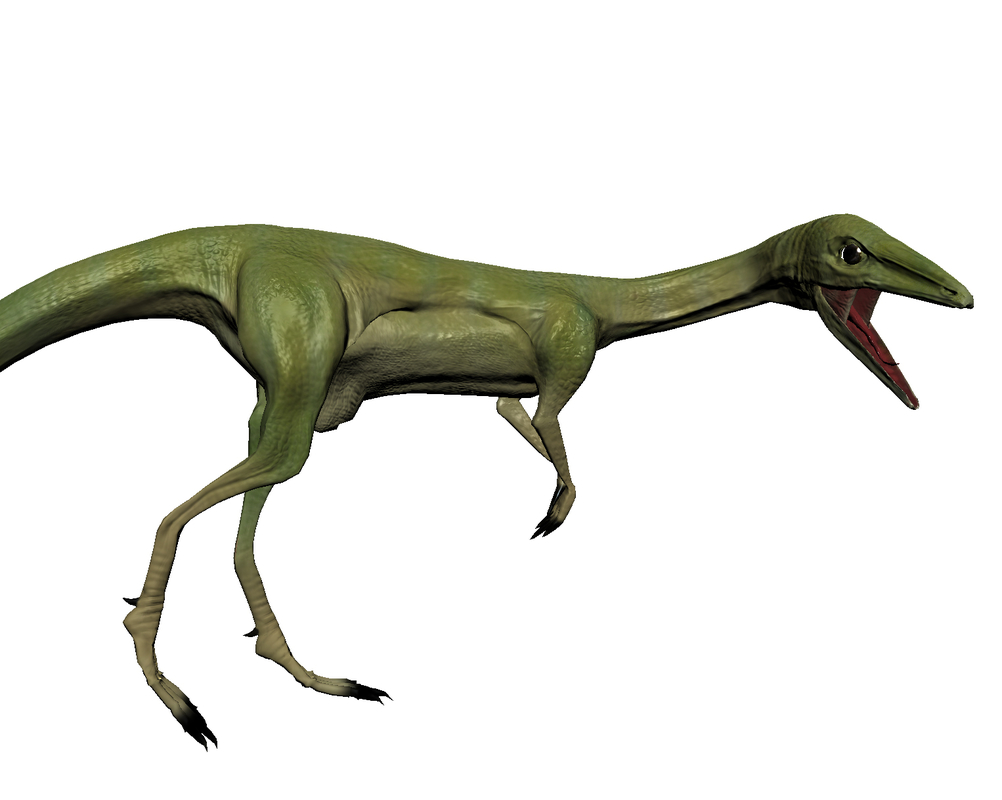compsognathus compy dinosaur 3d model