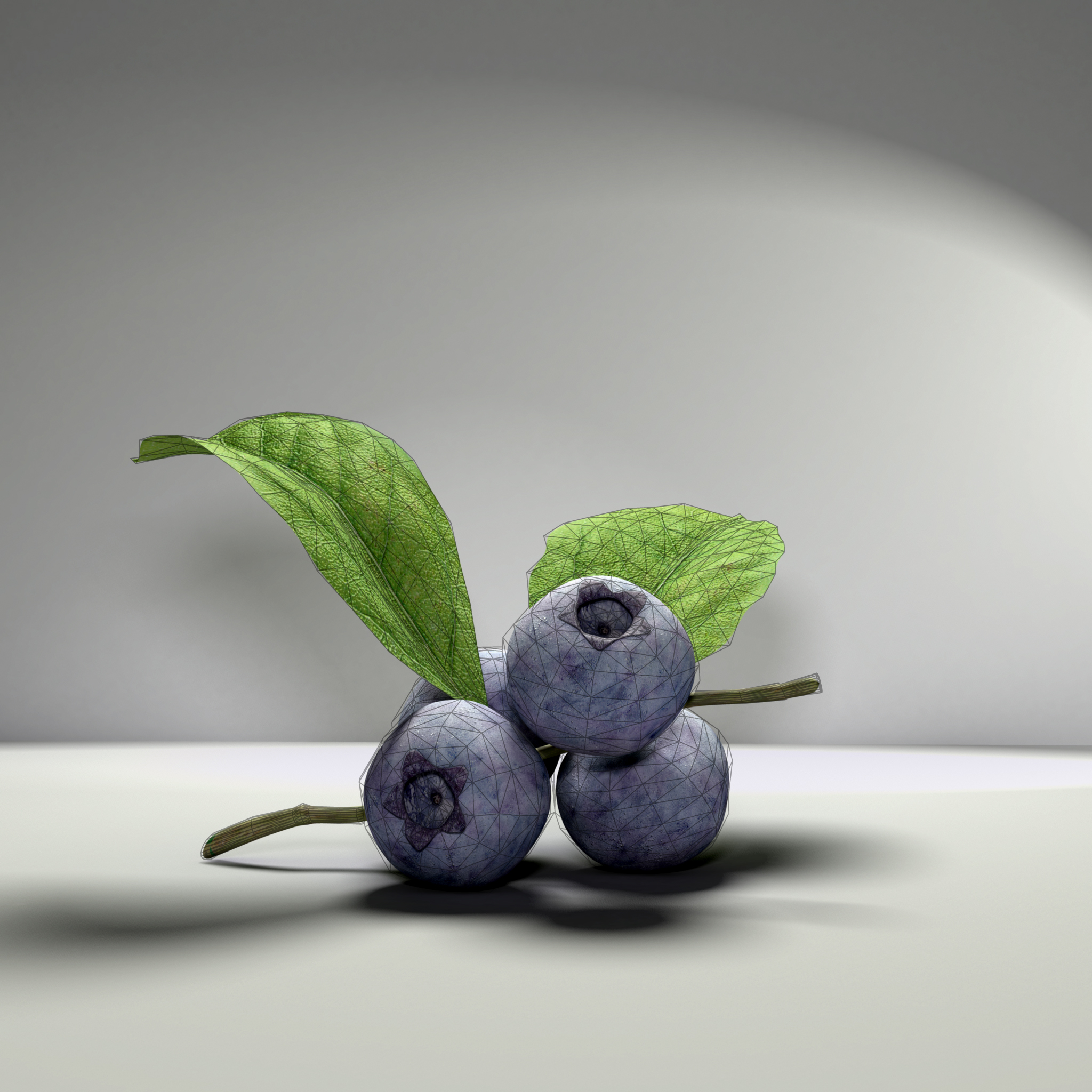 3d blueberry berry