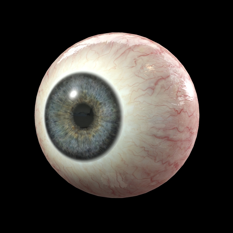 3d eye human iris model