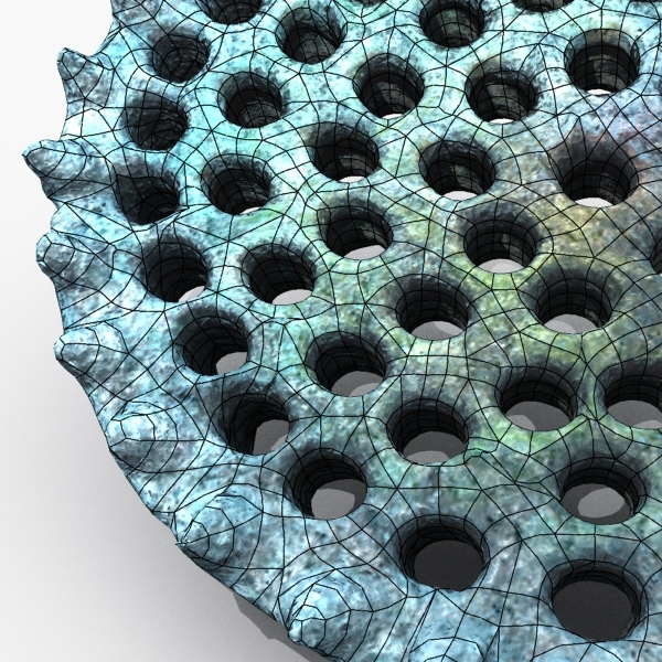 3d model protist diatom