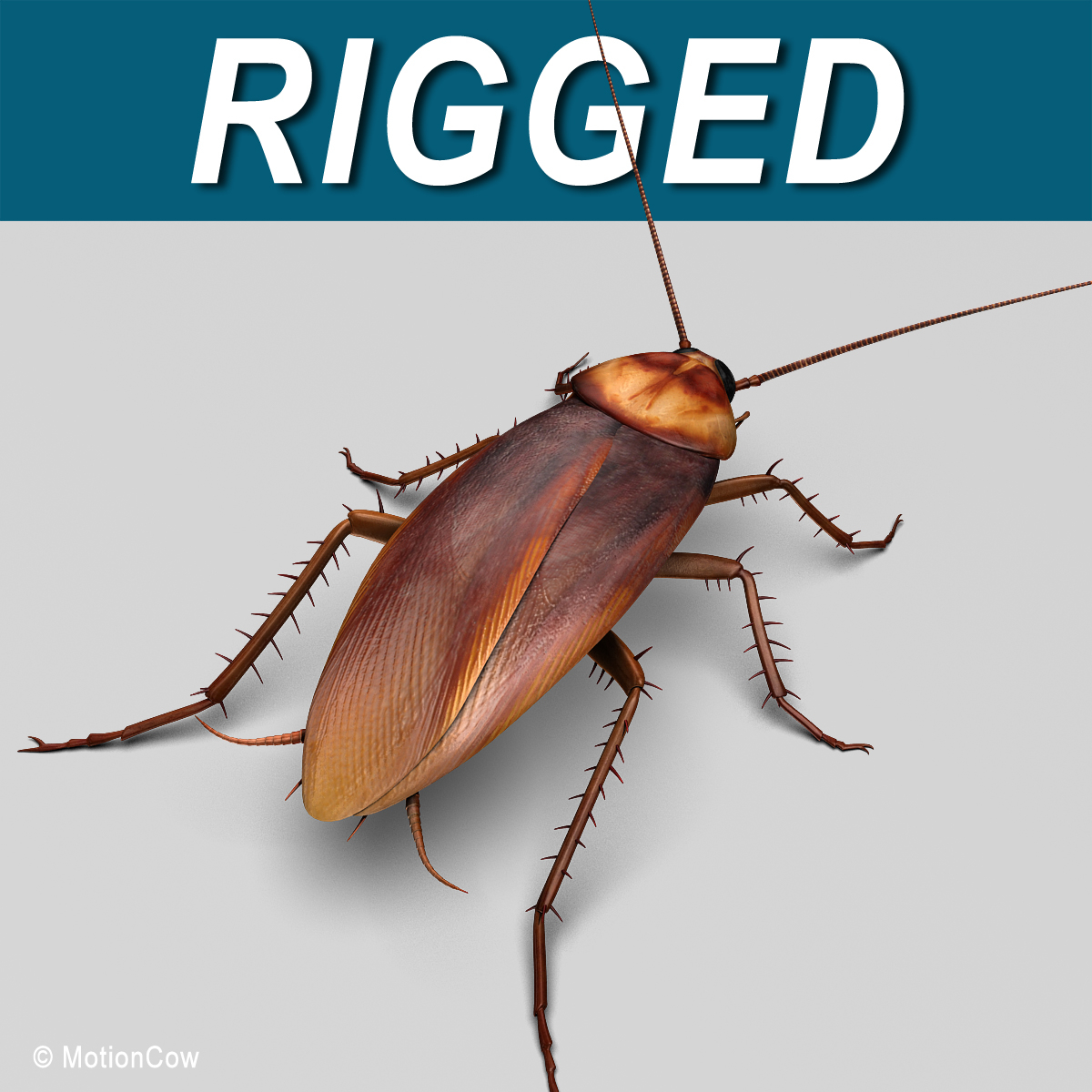 realistic cockroach 3d max