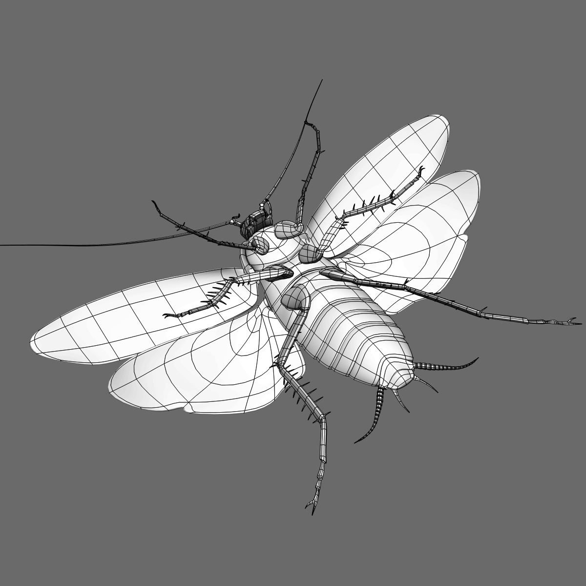 realistic cockroach 3d max