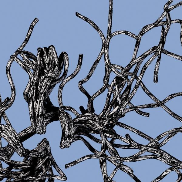 elastin protein body 3d model