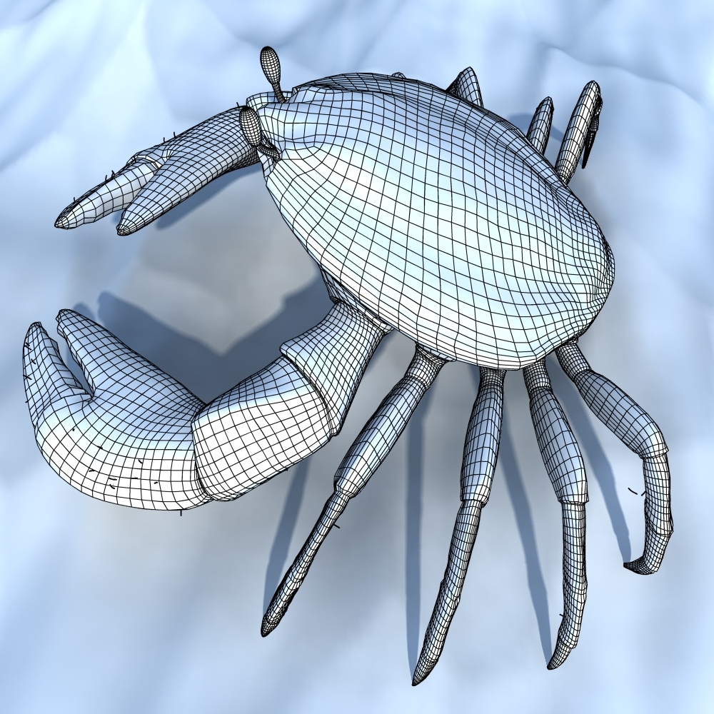 3d model small crab rigged
