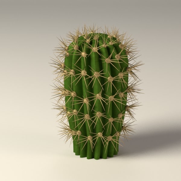 cactus 3d model