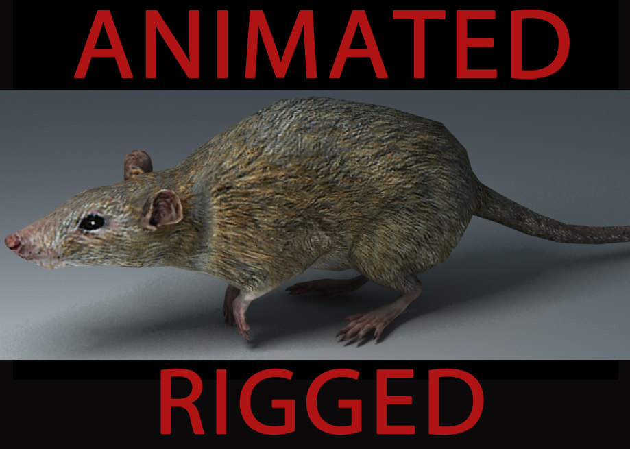 max rat animation
