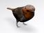 3d model european robin bird