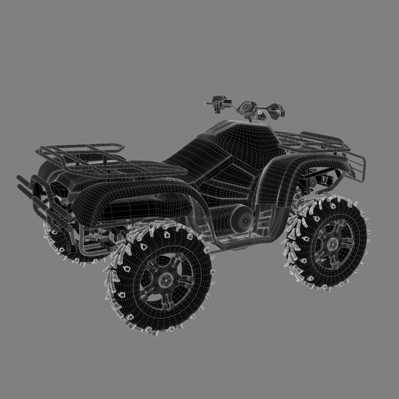 terrain 4-wheeler 3d model