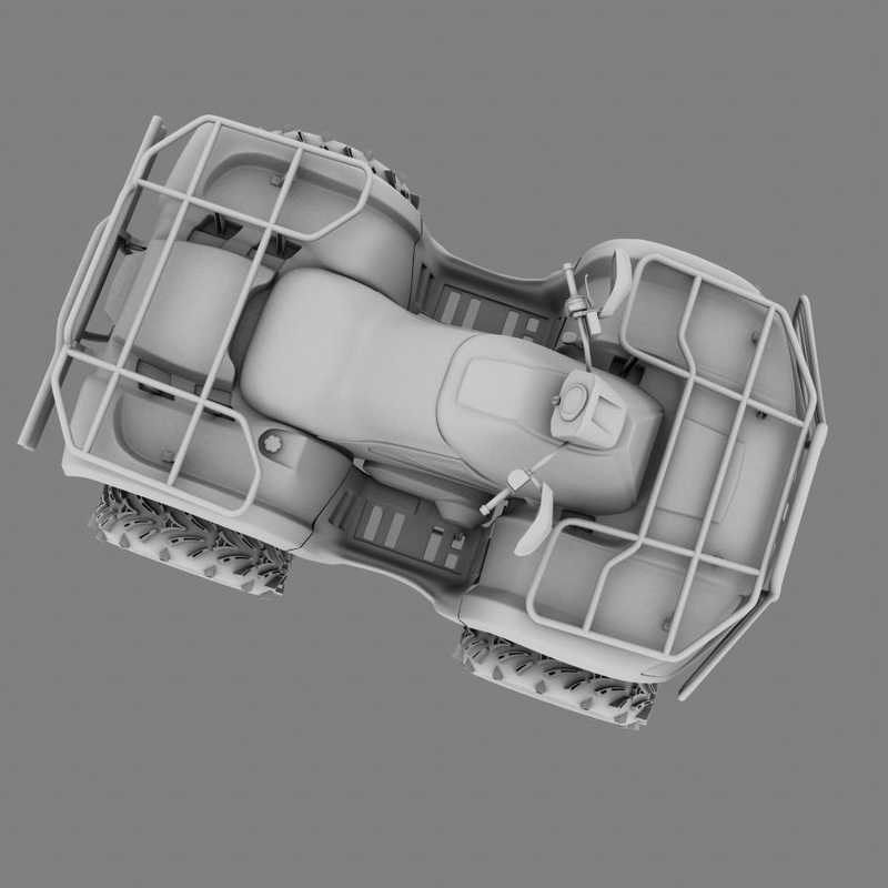terrain 4-wheeler 3d model