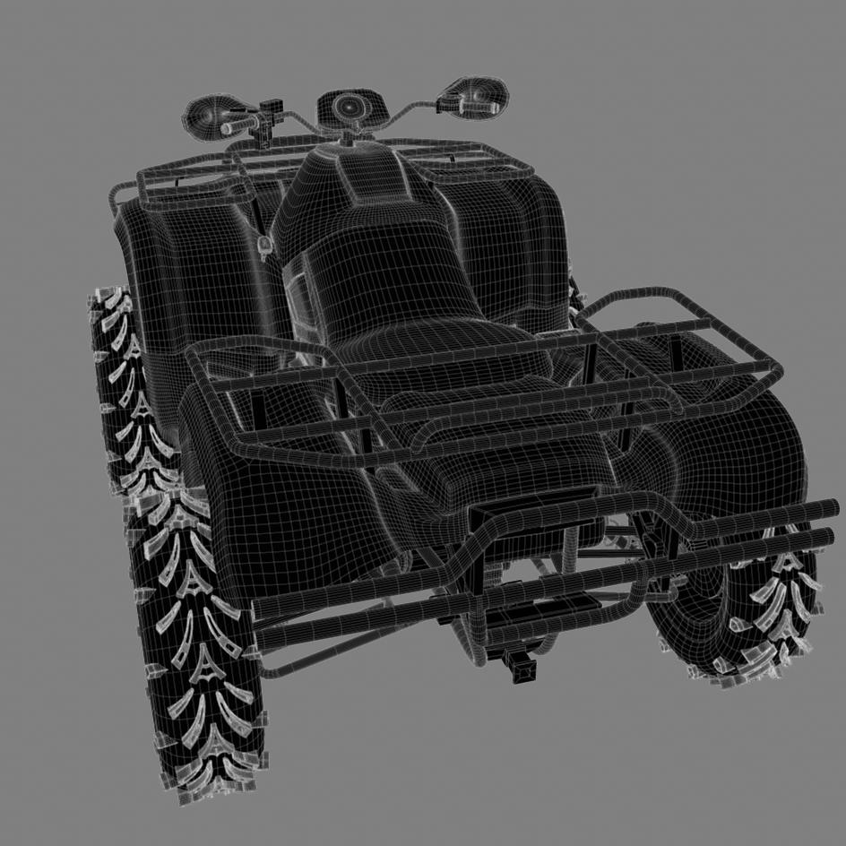 terrain 4-wheeler 3d model