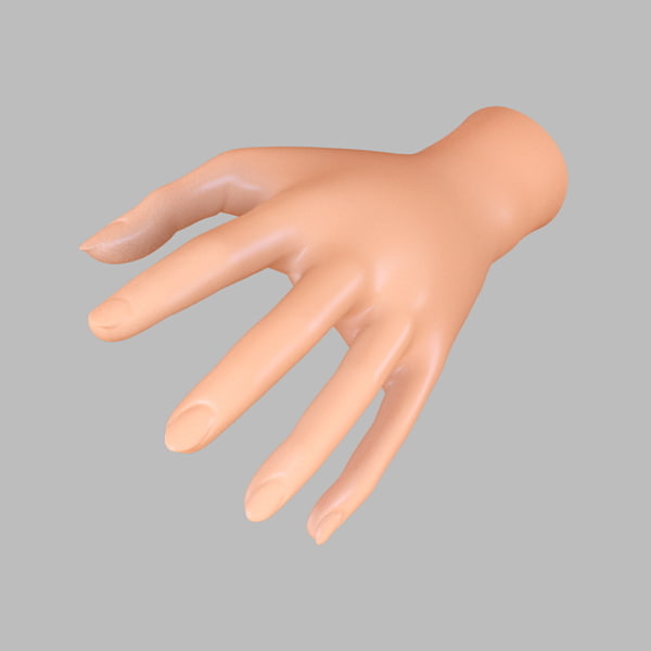 3d model woman hand