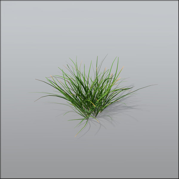 grasses exterior architectural 3d model