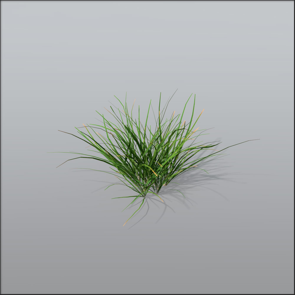 grasses exterior architectural 3d model
