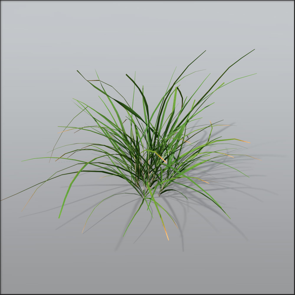 grasses exterior architectural 3d model
