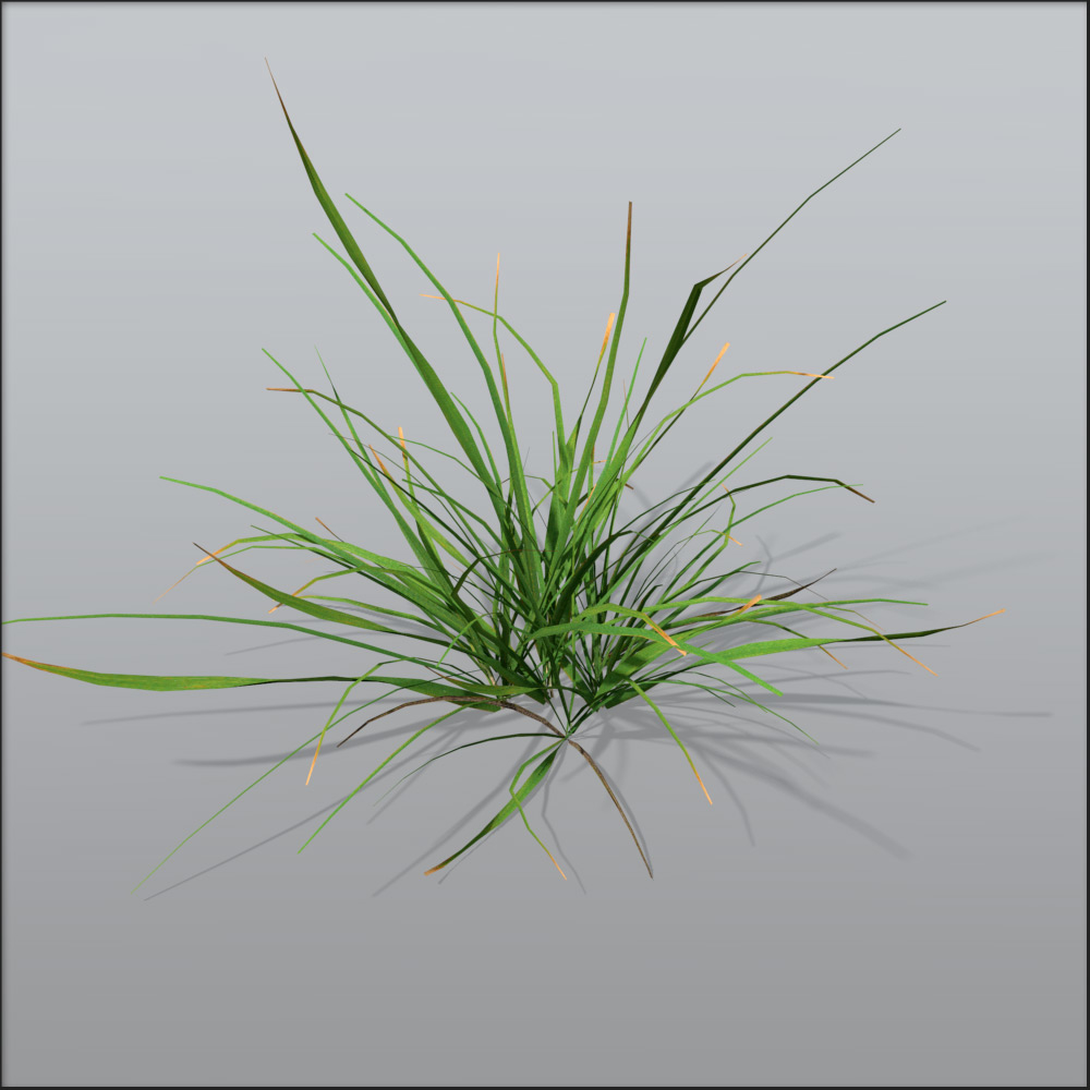 grasses exterior architectural 3d model