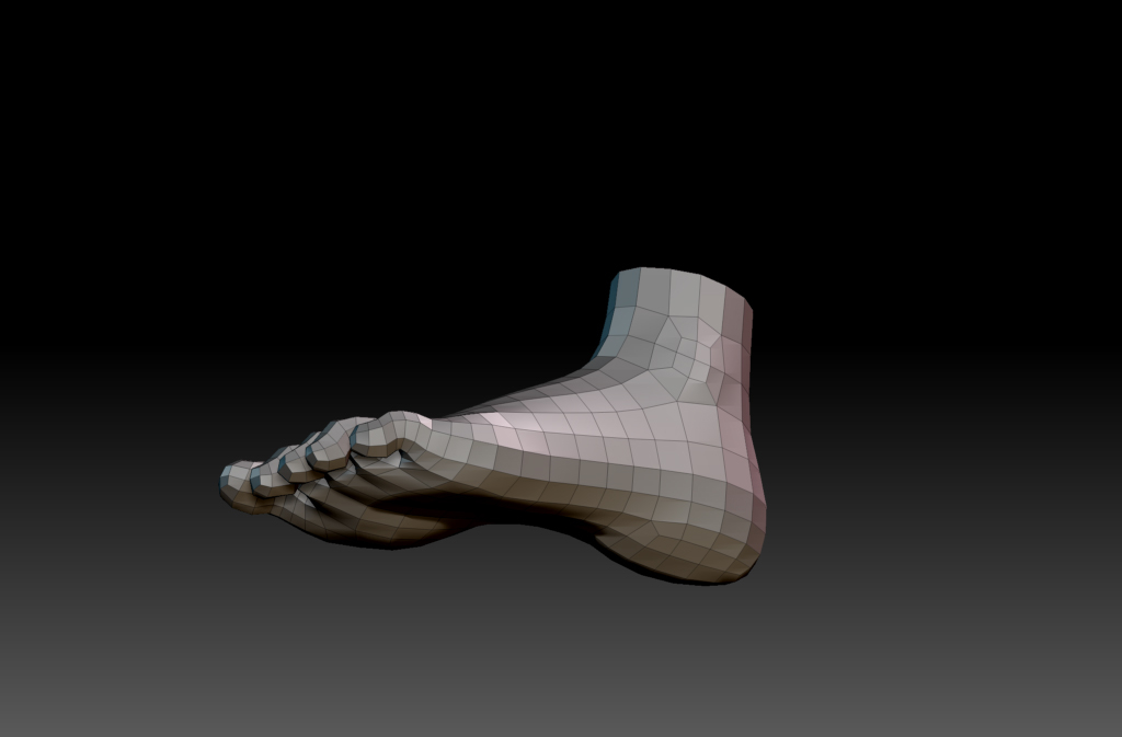 3d model of feet