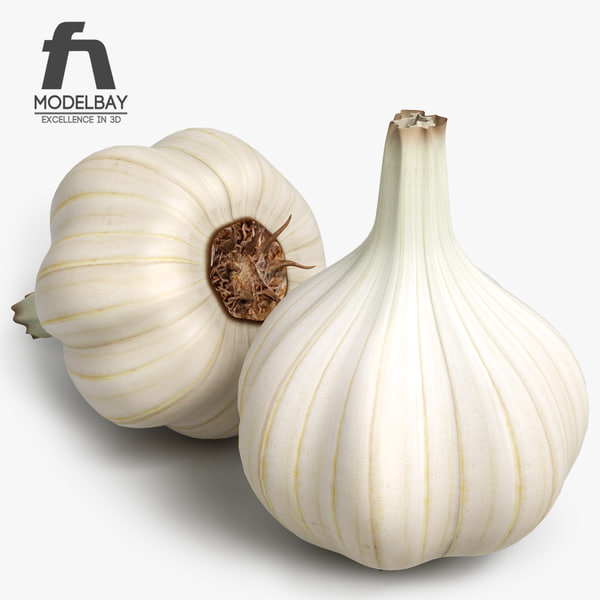 3ds max garlic