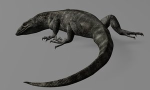 Lizard 3D Models for Download | TurboSquid